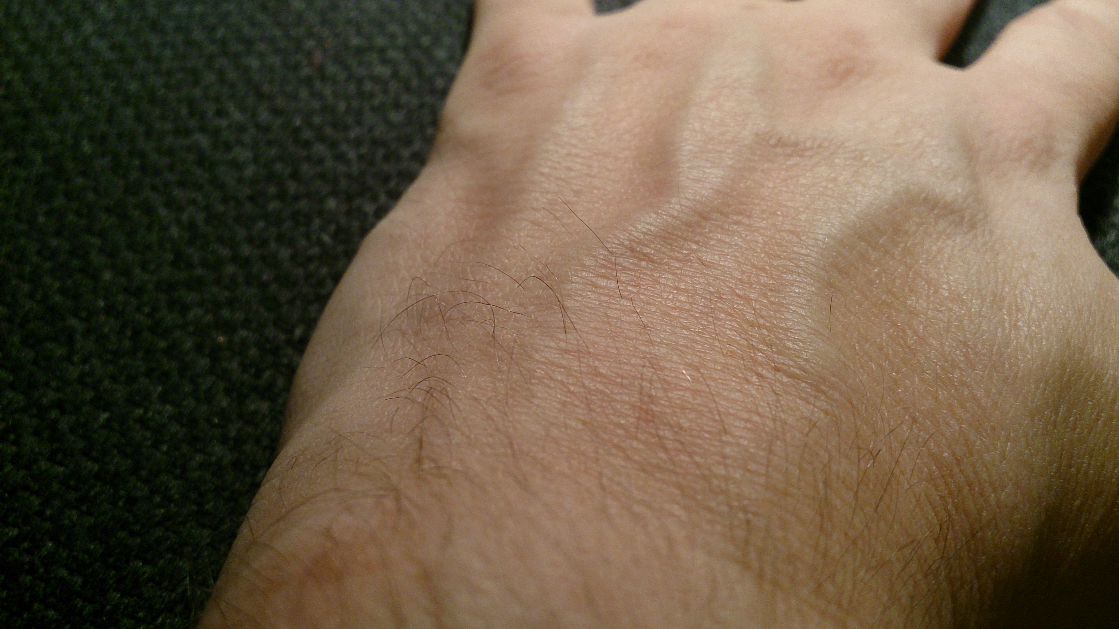 DSC_2097 | TRANSMANN Factbook – Blog eines anders normalen Mannes