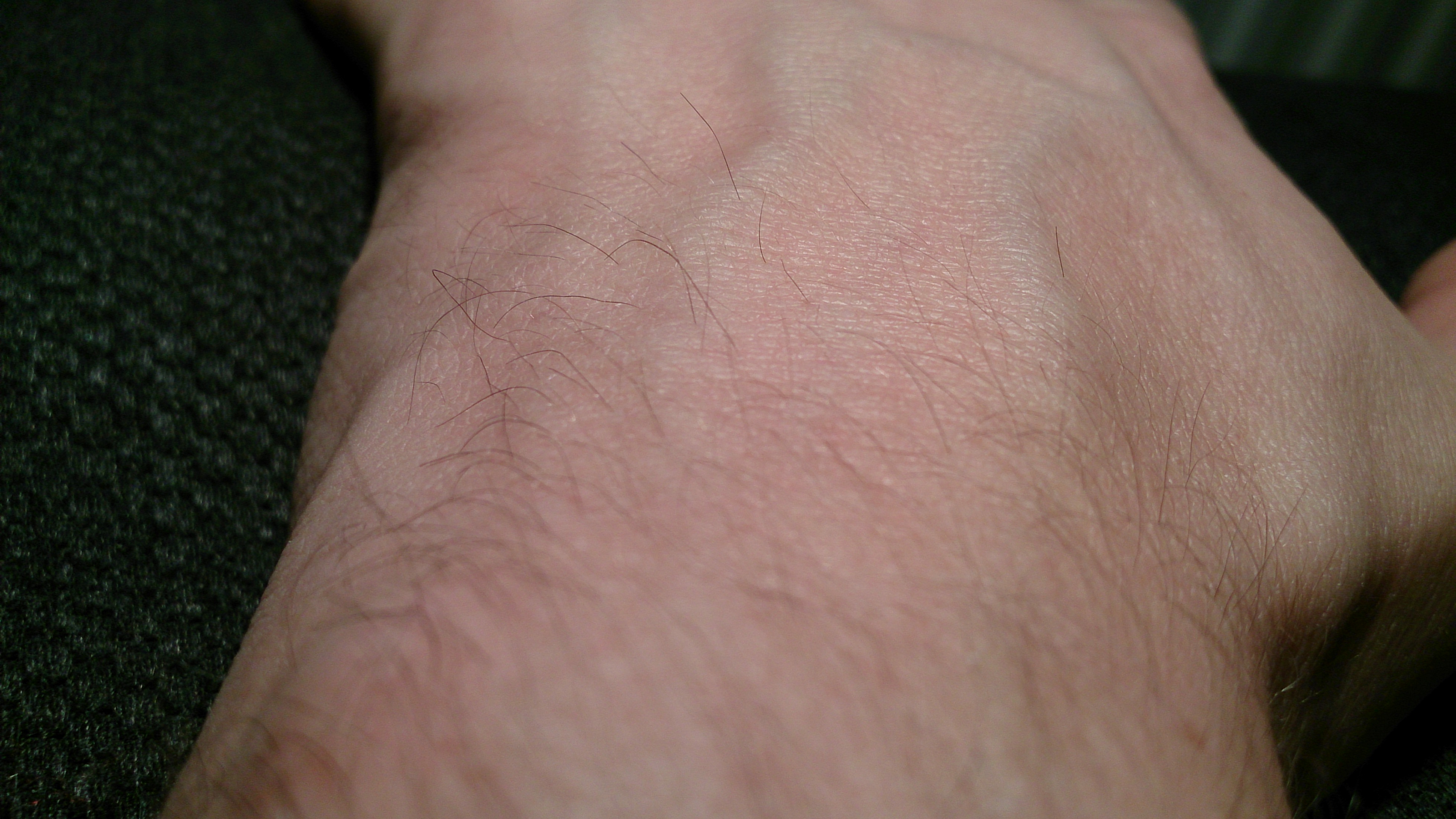 DSC_2101 | TRANSMANN Factbook – Blog eines anders normalen Mannes